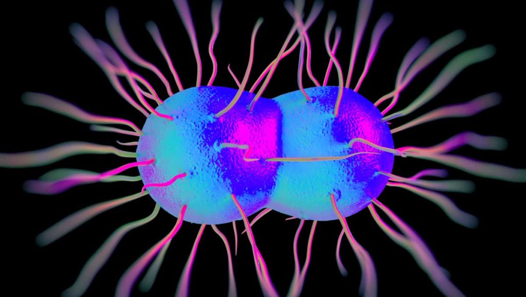 5 MOST COMMON STDs | HUMAN PAPILLOMA VIRUS (HPV)