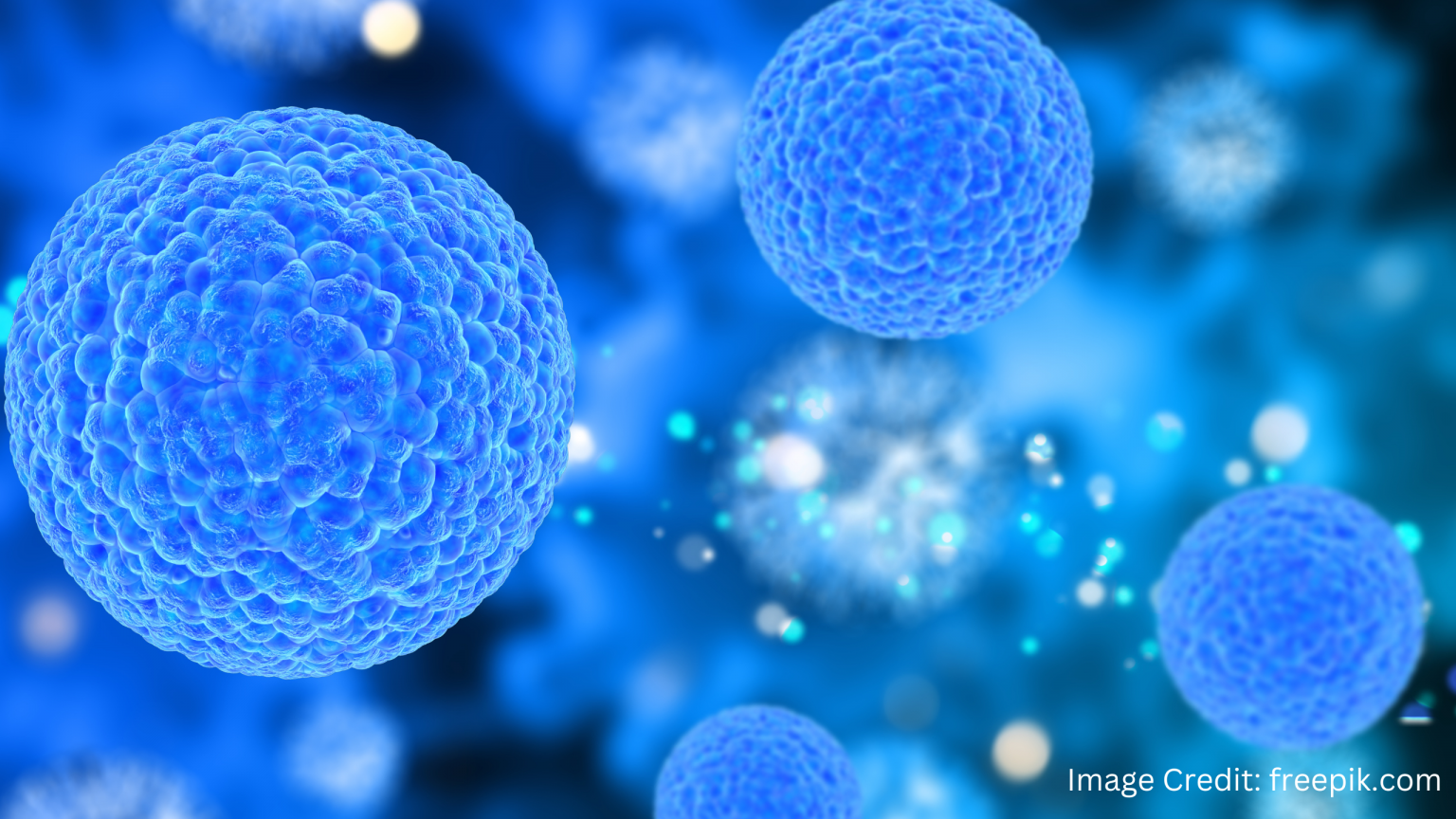 HPV In Men: What You Need To Know | DrSafeHands